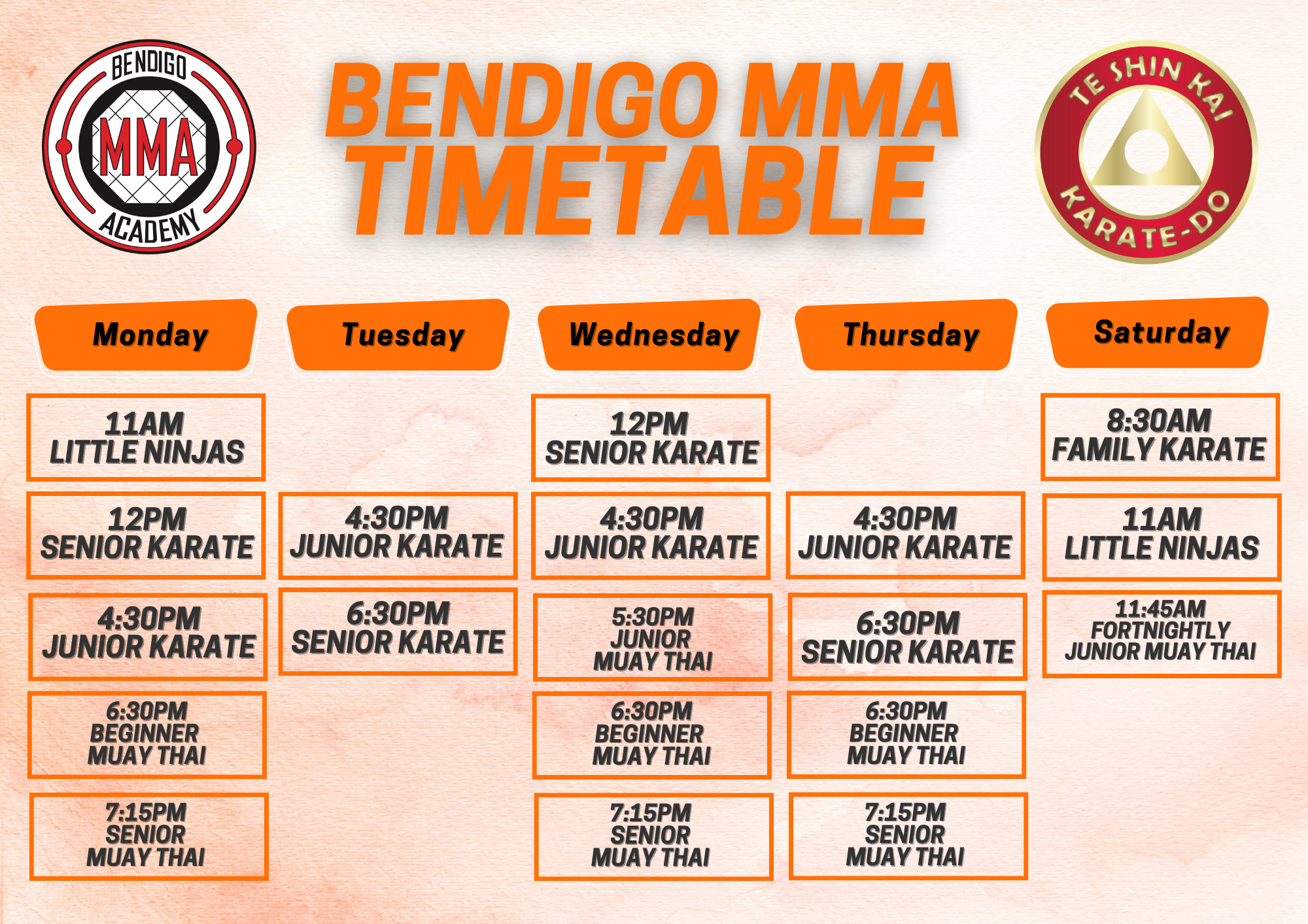 Martial Arts – Fit Republic